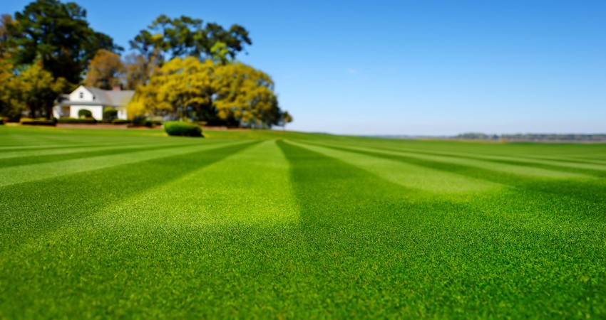 Mowing Tips For A Healthy, Pretty Lawn – Garcia Irrigation at Nashville